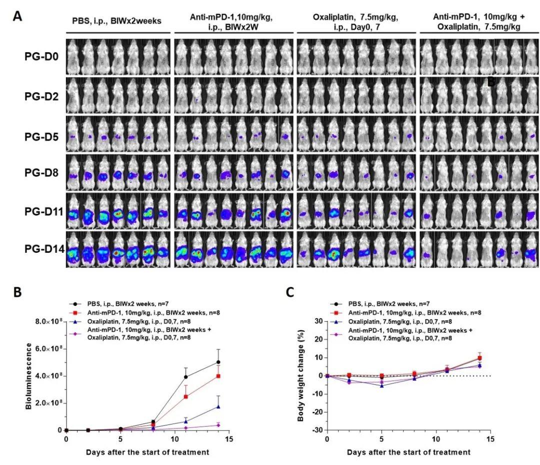 OncoWuXi速递 | 同源肿瘤原位及转移小鼠模型平台进展 - 知乎