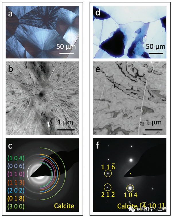 《AFM》：一种控制局部加热获得大型单晶的简便方法！ - 知乎