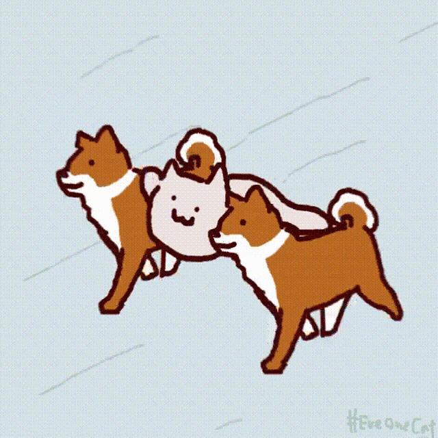 魔性猫猫everyday one cat 表情包 - 知乎