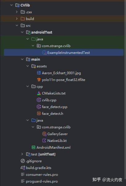 流程速通：Pytorch 转TfLite，部署到Android NDK - 知乎