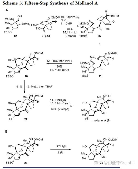 木藜芦烷类毒素Mollanol A的首次全合成 - 知乎