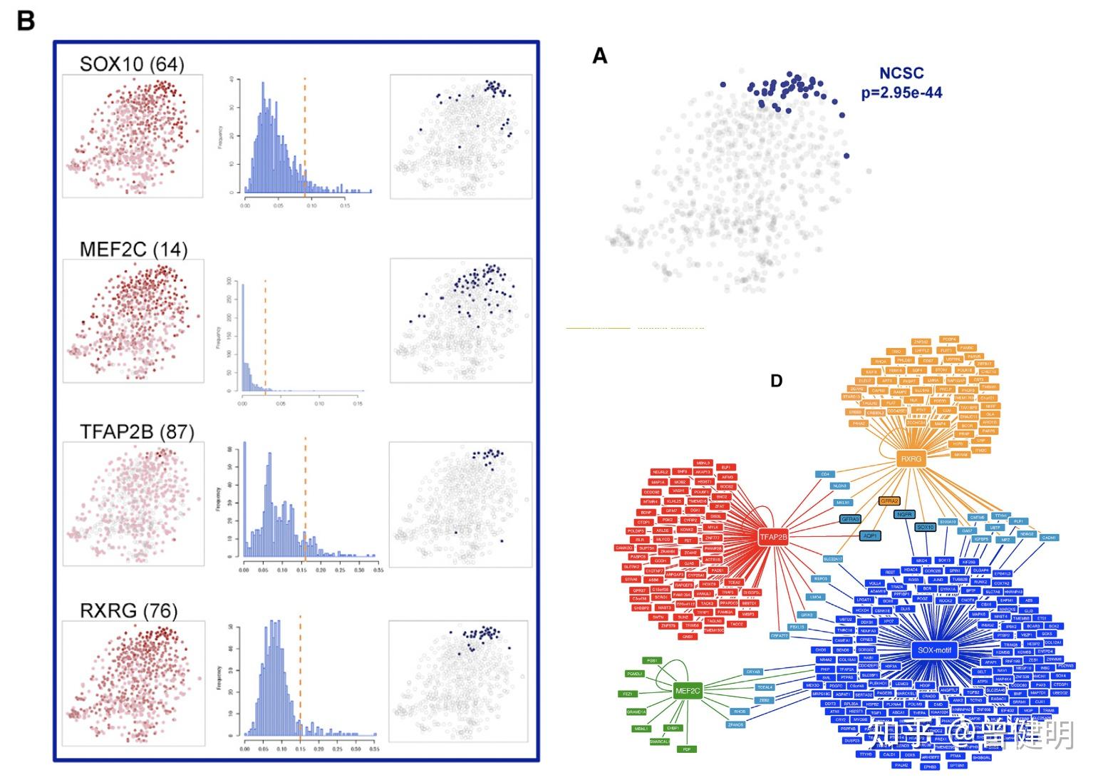SCENIC转录因子分析结果的解读 - 知乎
