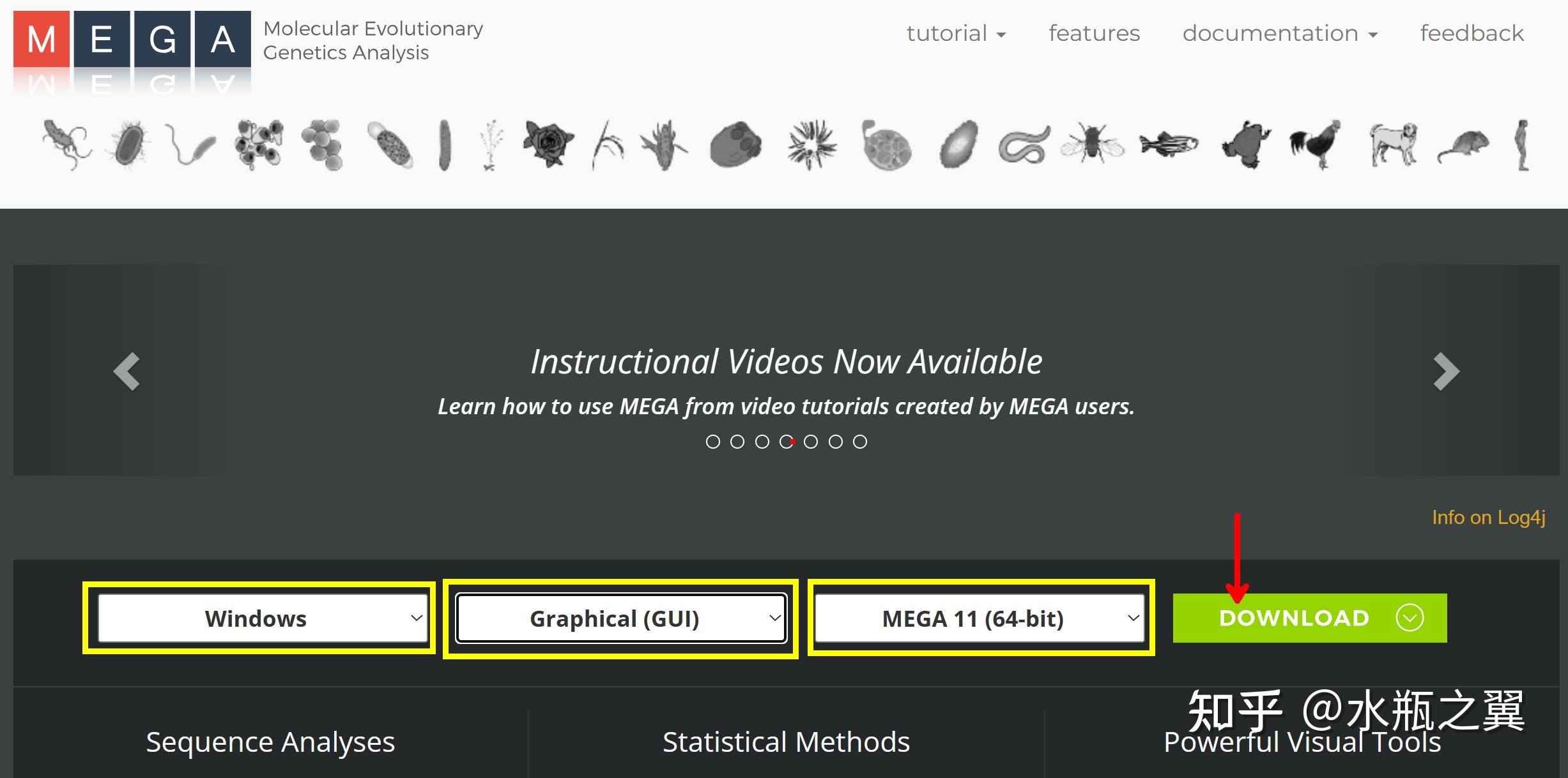 手把手教你绘制进化树（理论与实践） - 知乎