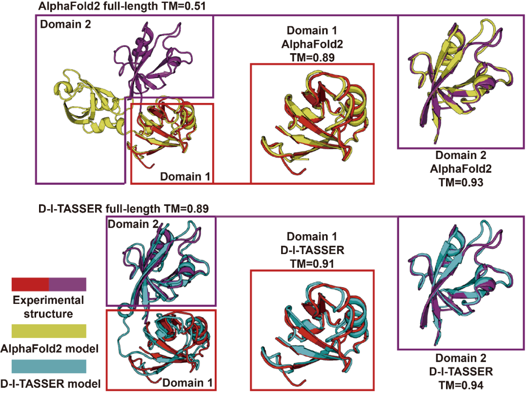 Nat. Biotechnol. | 新一代AI模型D-I-TASSER，实现超越AlphaFold3的结构预测精度 - 知乎