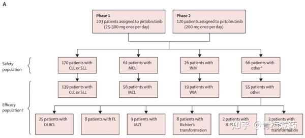 BigPharm|礼来：全球首款非共价BTK抑制剂：Jaypirca™ - 知乎