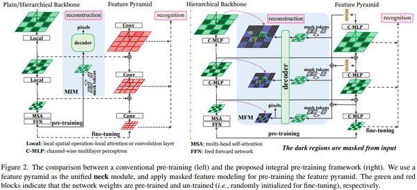 CVPR 2023｜结合特征金字塔结构的自监督学习 iTPNs - 知乎