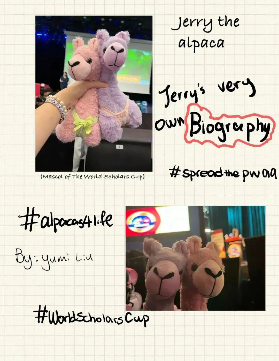 【WSC明星学者专访】世界学者杯明星学者专访！是什么让她创作出“the Jerry Book”？从准备到收获，明星学者这样说！ - 知乎