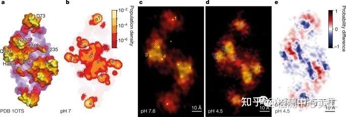 《Nature》重磅：超高分辨率的定位原子力显微镜（AFM）！ - 知乎