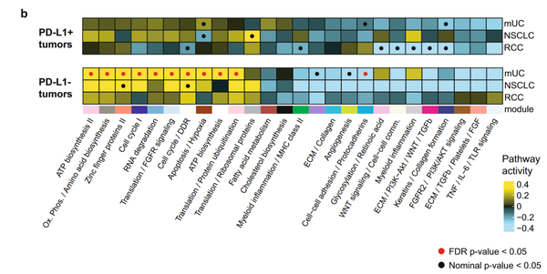 跟着 Nature Communication 学作图 | 热图+格子注释(通路富集相关) - 知乎