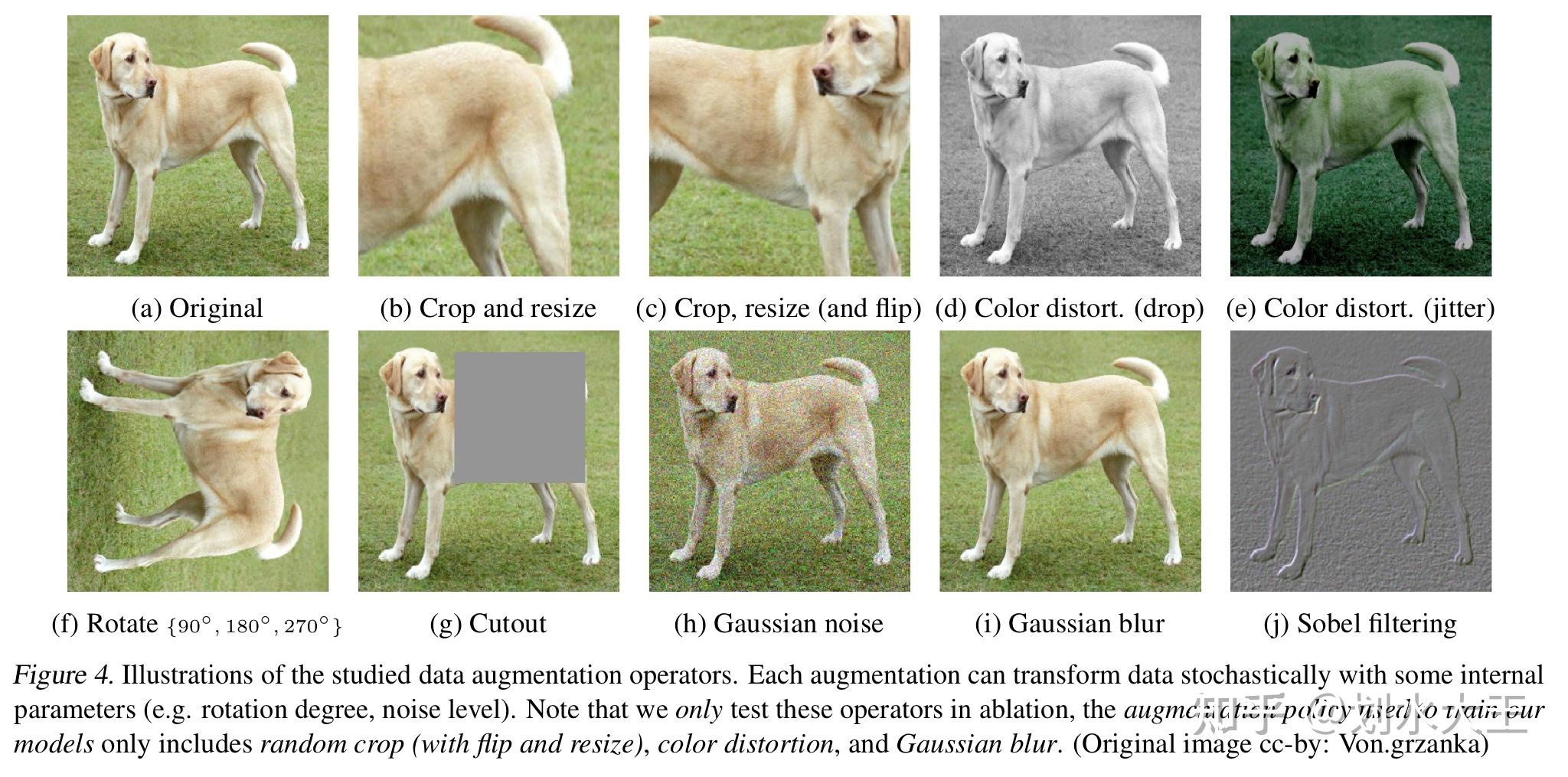 《a Simple Framework For Contrastive Learning Of Visual Representations