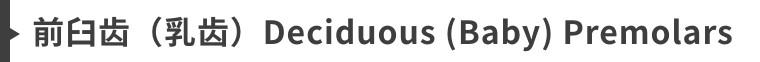 【科普】马牙齿的命名系统-Triadan Tooth Numbering System - 知乎