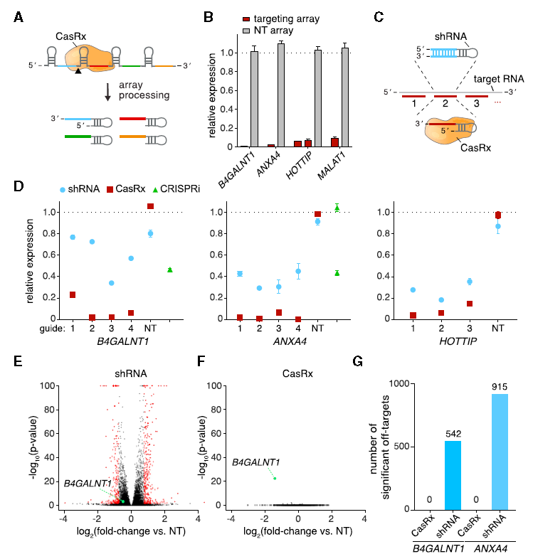 CRISPR/Cas9基因编辑工具载体设计与构建 - 知乎