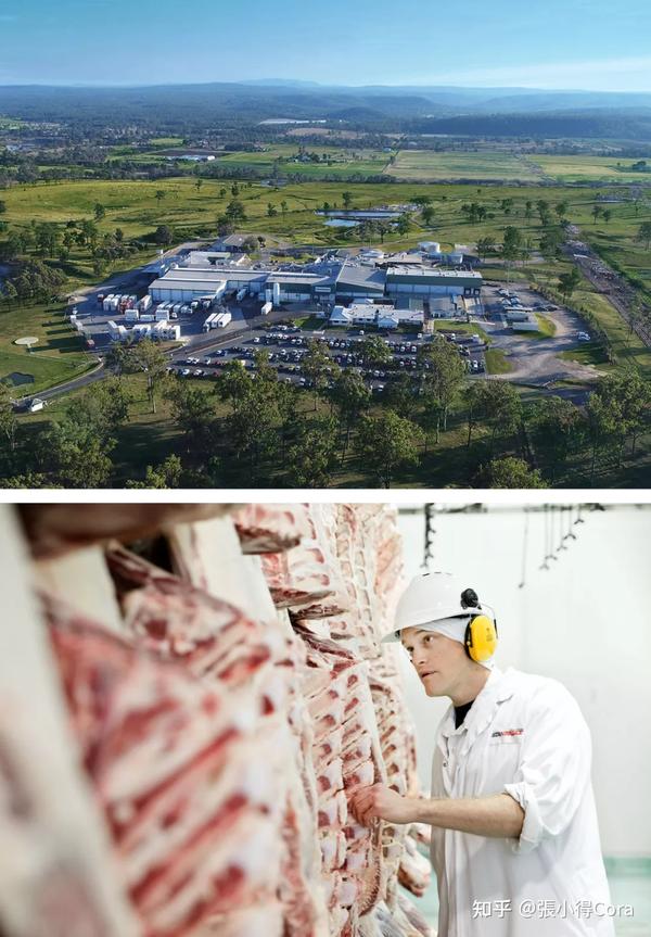 203厂 | 澳洲最佳牛肉品牌之一Stanbroke介绍给你 - 知乎