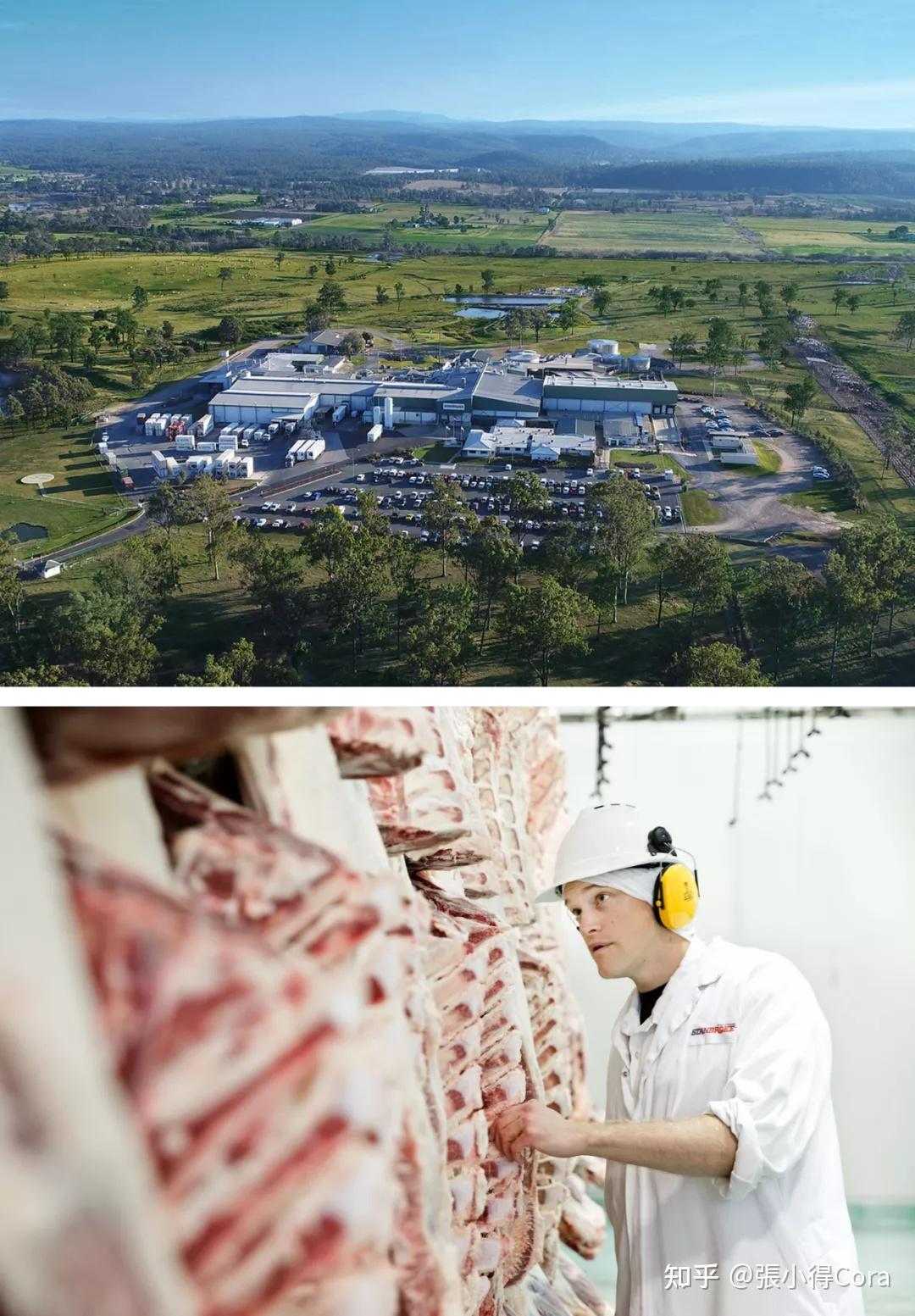 203厂 | 澳洲最佳牛肉品牌之一Stanbroke介绍给你 - 知乎