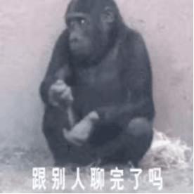 猩猩表情包 - 知乎