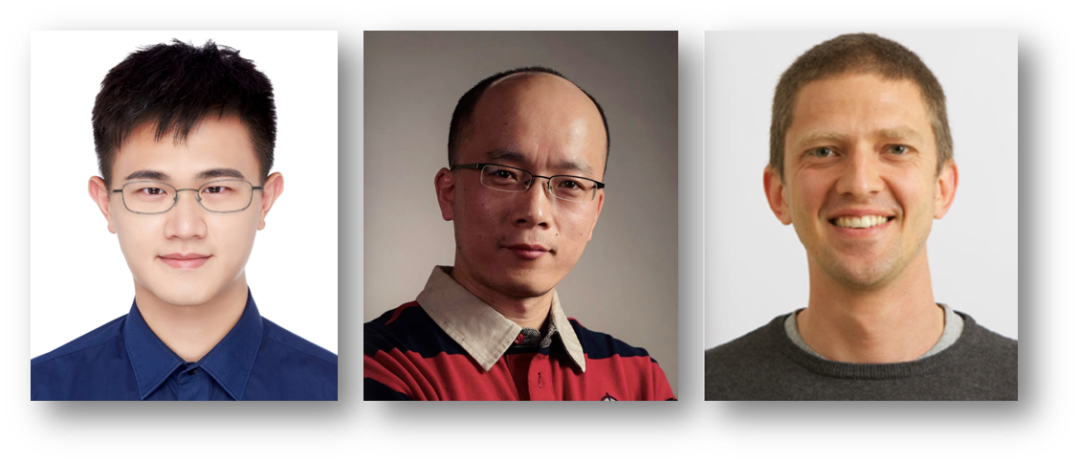 Current Biology︱王钢/David R. Johnson团队合作揭示真菌菌丝维持环境中微生物多样性的新机制 - 知乎