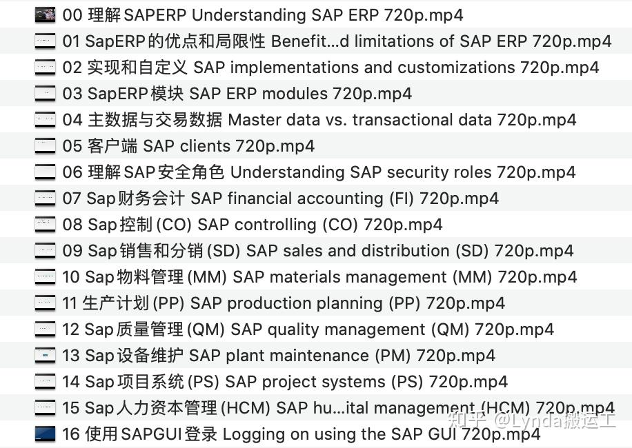SAP 综合教程 - 知乎
