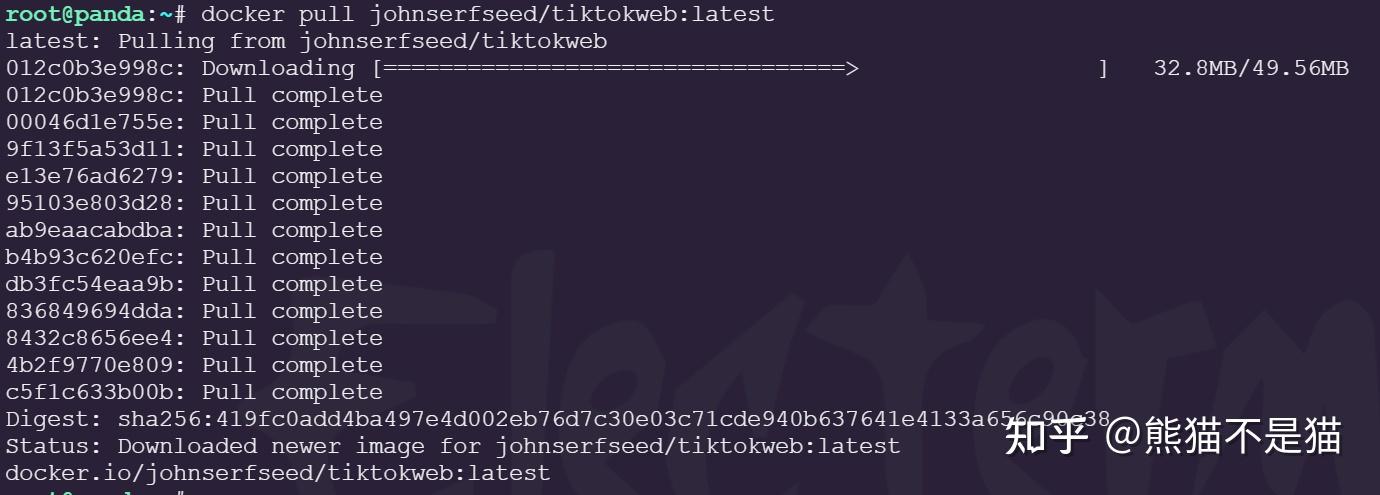 小姐姐捕捉器！docker部署一个TikTokDownload网页版 - 知乎