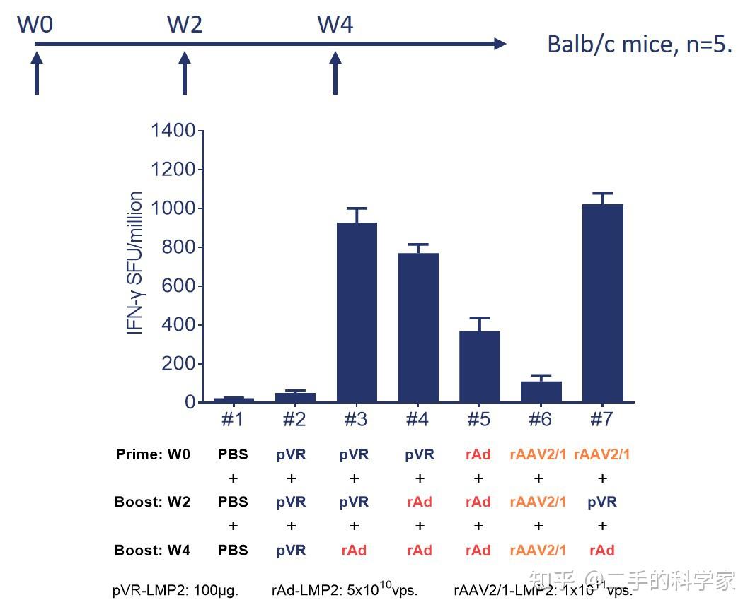 他山之石：EBV治疗性疫苗 - 知乎