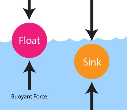 单词详解 | buoyant - 知乎
