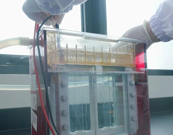 干货分享 | 一文了解HCP抗体覆盖率验证解决方案 - 知乎