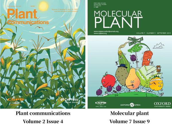 速！带你走进期刊封面的科学与艺术之美！ - 知乎