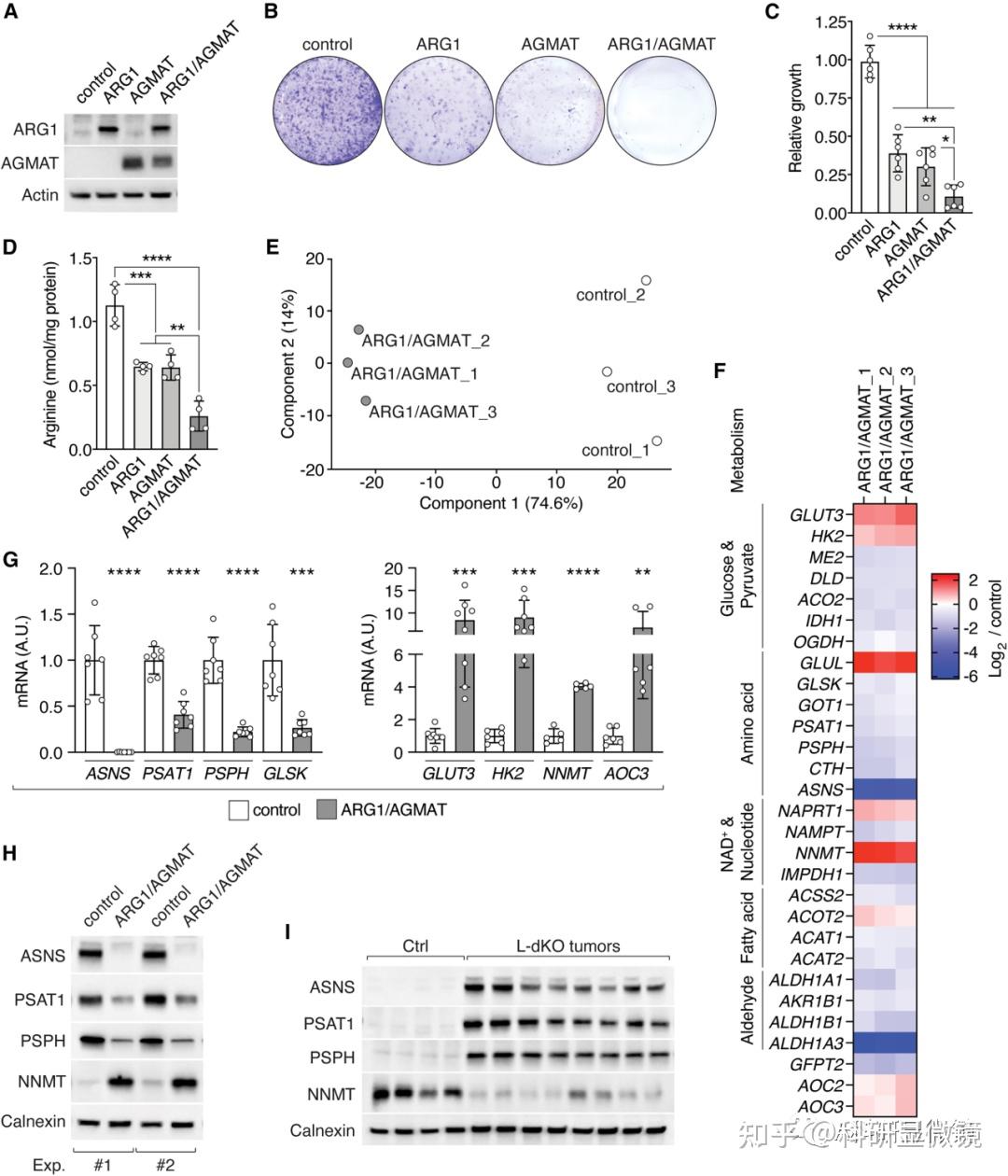肿瘤代谢重编程提示治疗新靶点？Cell文章带你一探究竟！ - 知乎