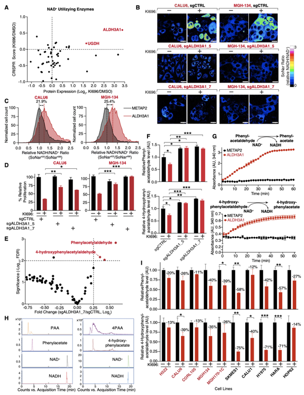 Cell Metabolism丨NRF2 激活诱导 NADH 还原应激，为肺癌提供代谢脆弱性 - 知乎