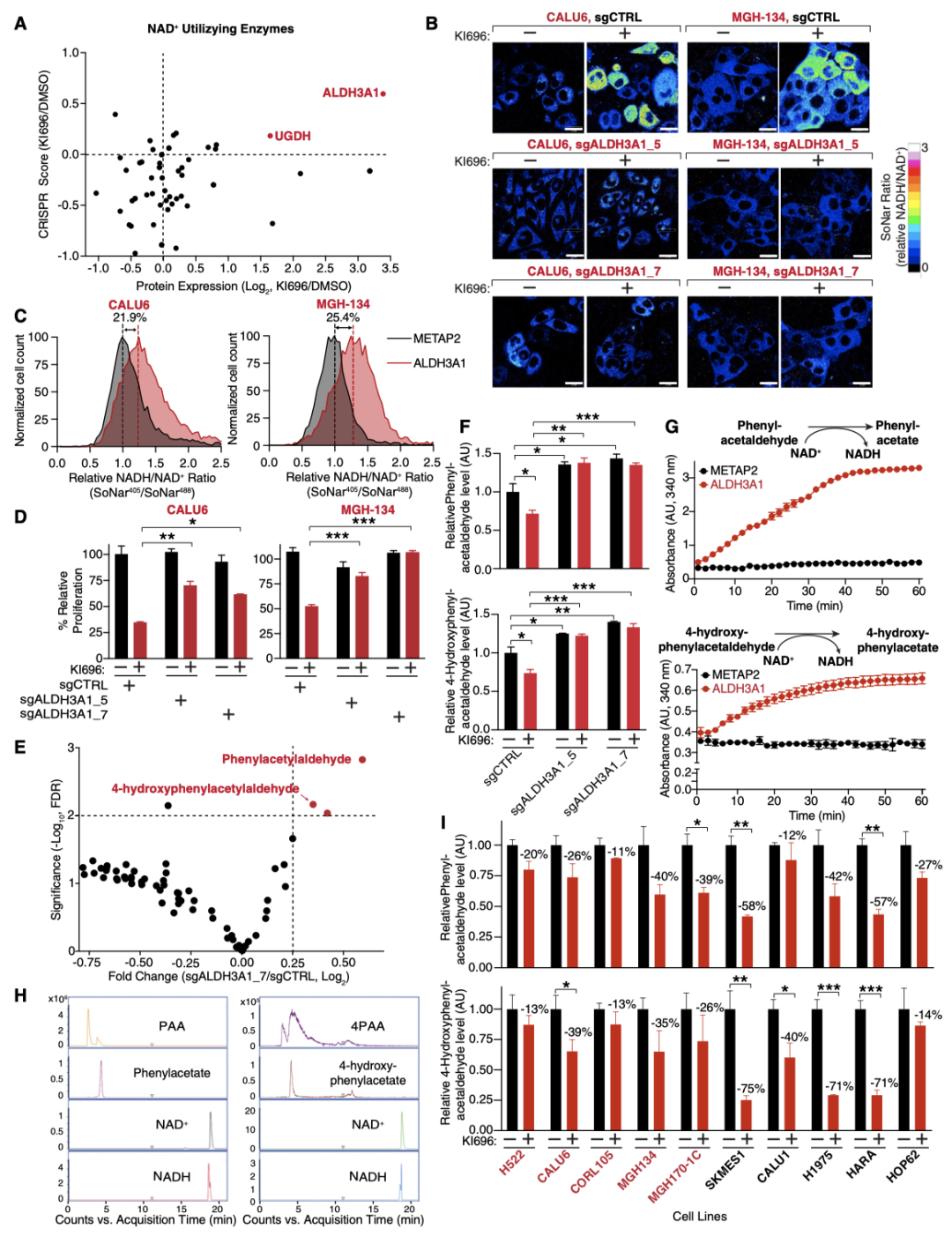 Cell Metabolism丨NRF2 激活诱导 NADH 还原应激，为肺癌提供代谢脆弱性 - 知乎