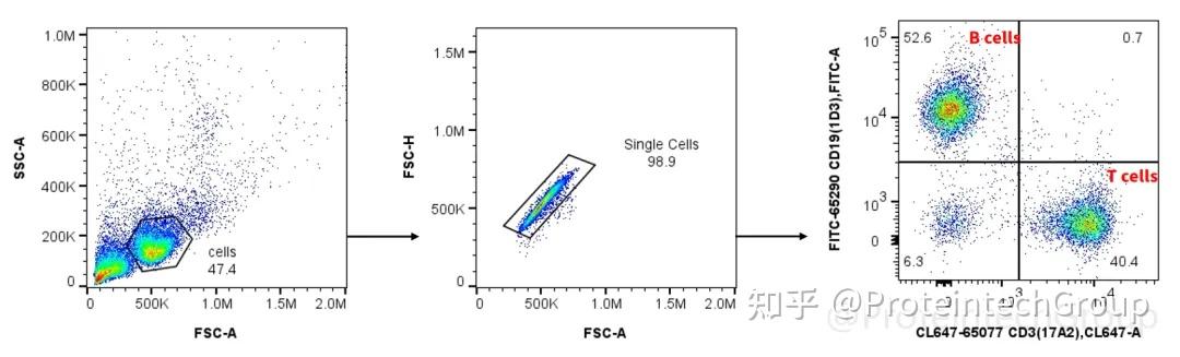 8种常见流式样本制备及胞内染色方案汇总 | 流式专栏（二） - 知乎