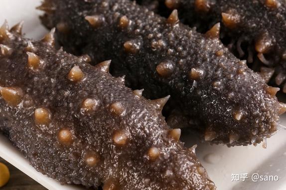 阳气足百病除，日常春夏养阳攻略请查收！ - 知乎