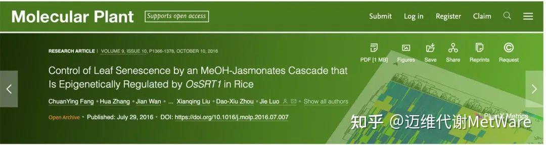 Mol Plant | OsSRT1表观调控MeOH-JA级联反应影响水稻叶片衰老 - 知乎