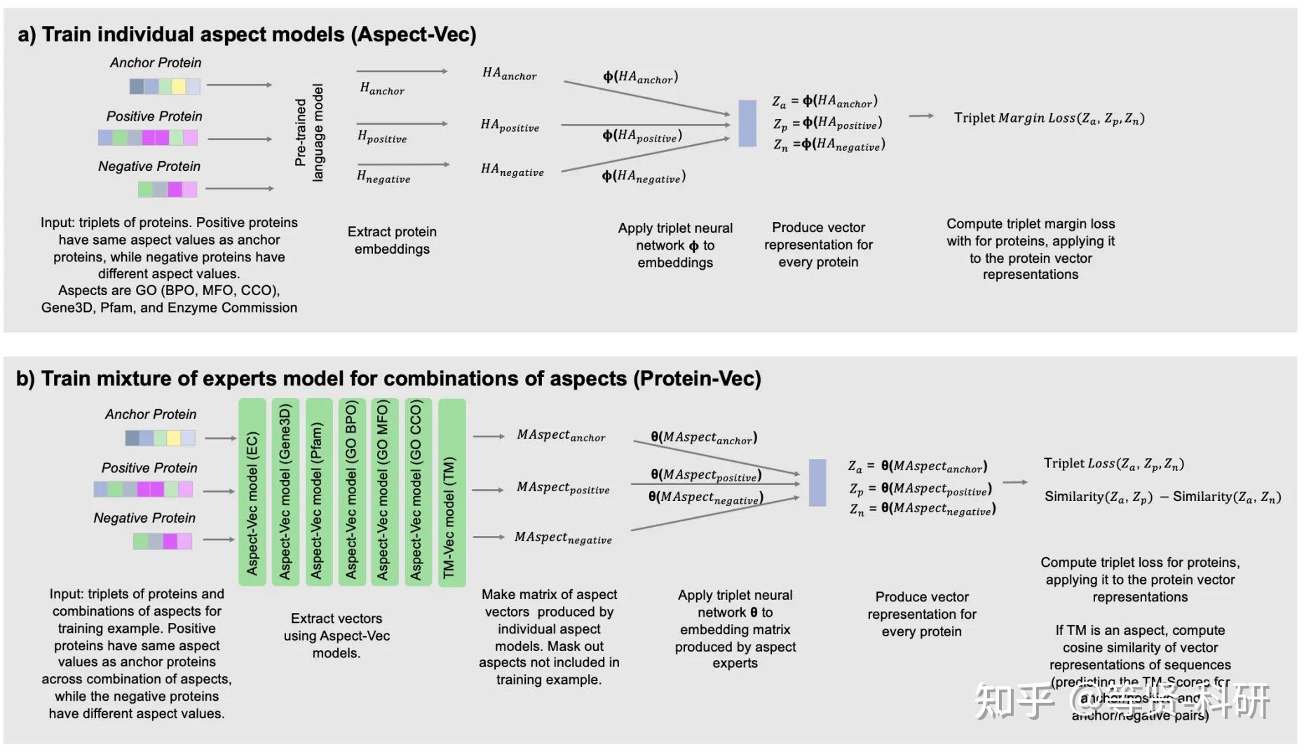 【深度学习】Protein-Vec: 基于深度学习表征隐空间向量的蛋白质结构-功能注释工具 - 知乎