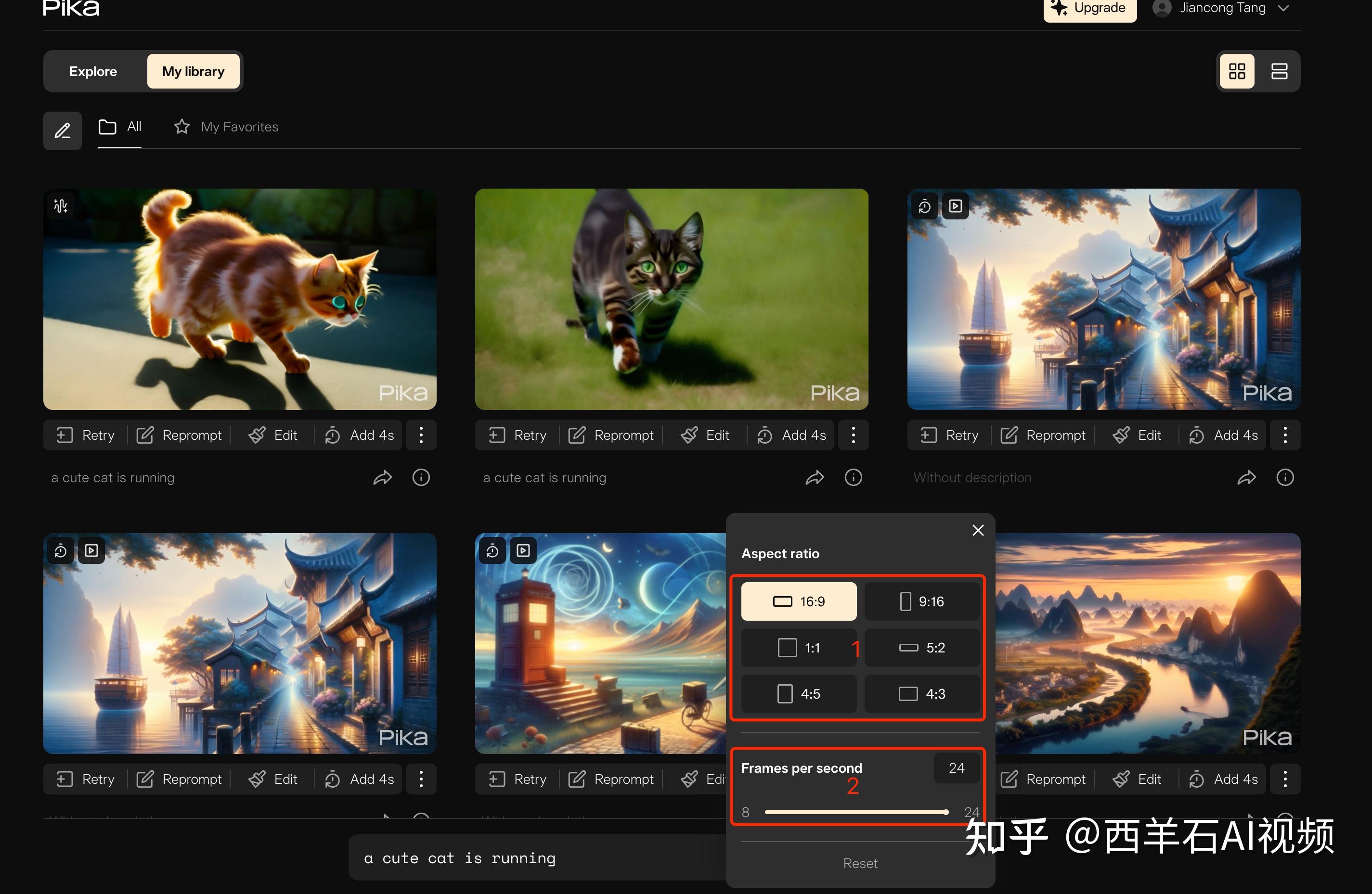 Pika完整版教程 - 知乎