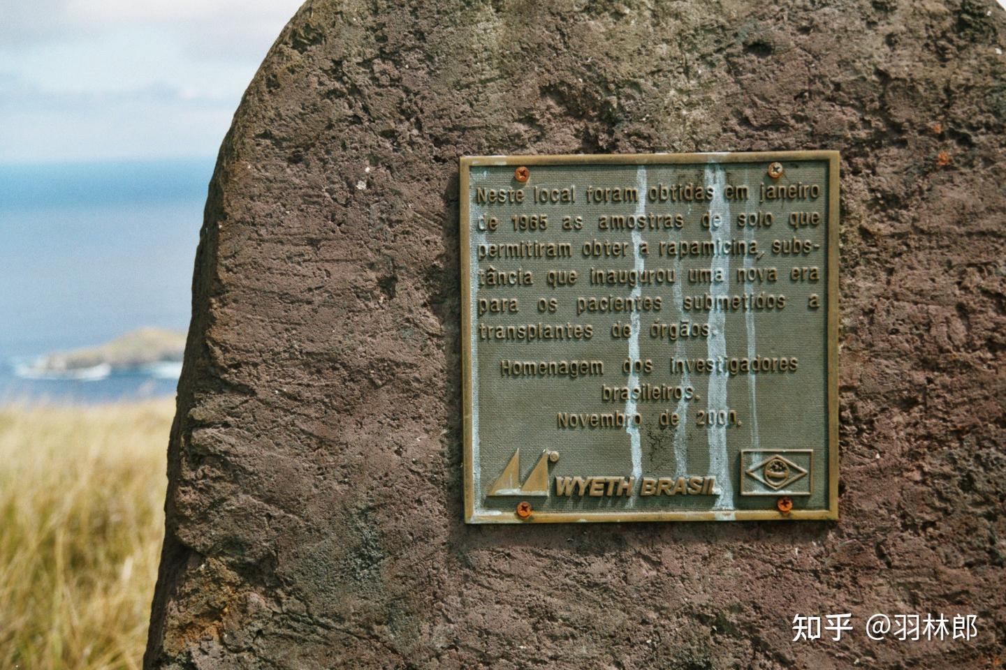 西罗莫司（雷帕鸣） - 知乎