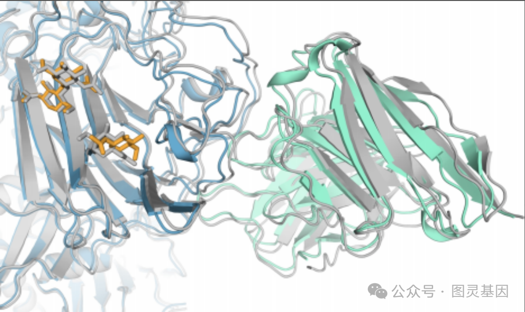 Nature ｜ AlphaFold 3一键预测所有生命分子及其相互作用 -- 原理，展望与局限 - 知乎