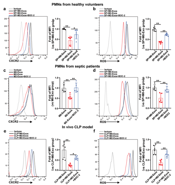 生物医学杂志丨IF：11丨M2巨噬细胞外泌体 通过抑制中性粒细胞NETs从而减轻脓毒症损伤 - 知乎