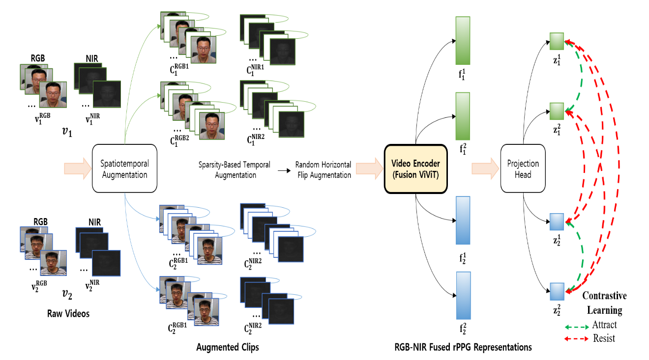 【rPPG论文阅读】Self-Supervised RGB-NIR Fusion Video Vision Transformer ...