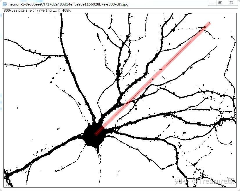 ImageJ实用技巧——Sholl Analysis（二）(插件篇) - 知乎