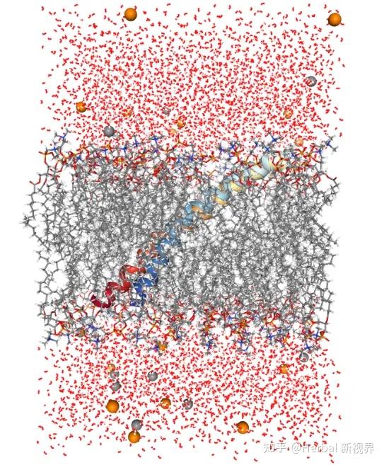 CHARMM-GUI——分子动力学模拟多功能在线平台 - 知乎