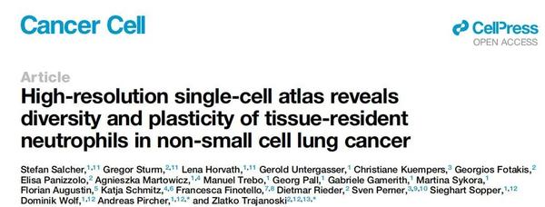 Cancer Cell | 高分辨单细胞图谱揭示非小细胞肺癌中性粒细胞多样性和可塑性 - 知乎