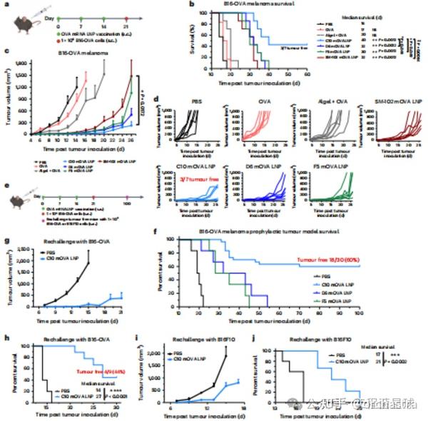 【耀文解读】mRNA递送系统开发：筛选靶向性LNP脂质组分以增强抗肿瘤活性 - 知乎