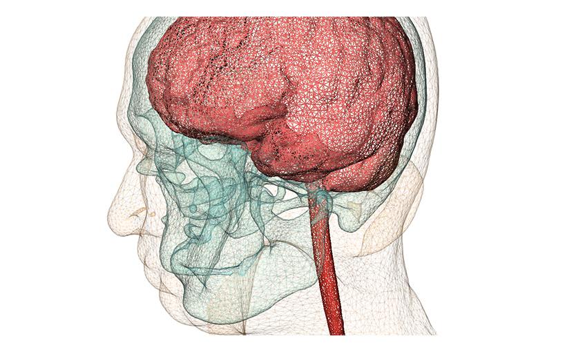【Simpleware】ScanIP 模块基础环境 - 知乎