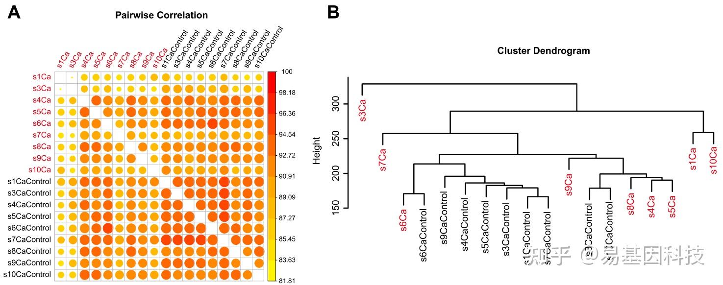 易基因： RRBS揭示基于DNA甲基化驱动基因的肾透明细胞癌预后模型的鉴定和验证｜项目文章 - 知乎