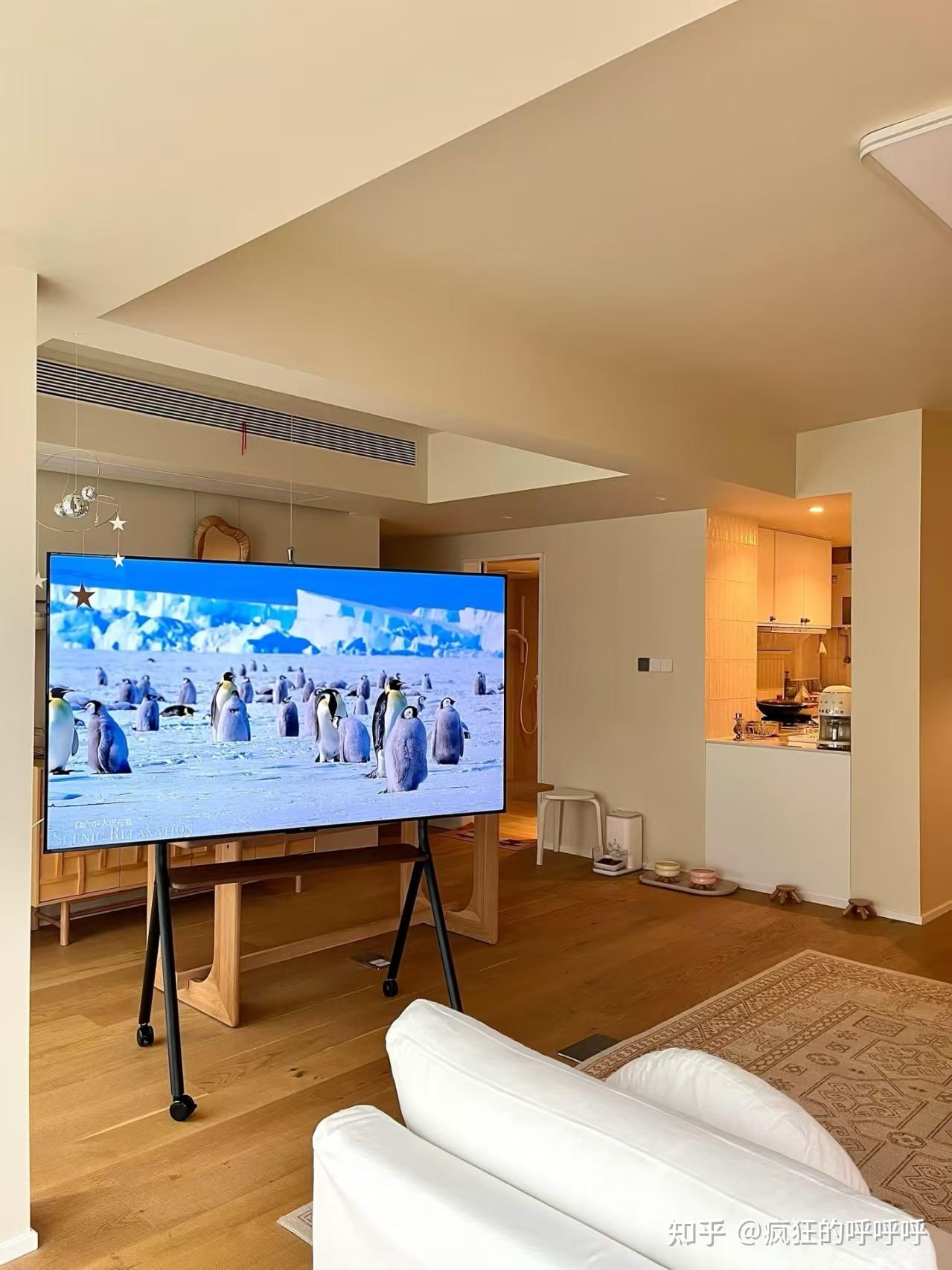 不吹不黑，TCL T6L Pro 的这些优势让我果断入手 - 知乎