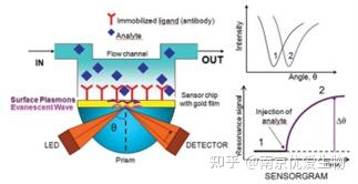 SPR(Biacore)分子互作实用举例 - 知乎