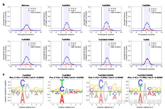基于TadA-8e的CBE工具开发 - 知乎
