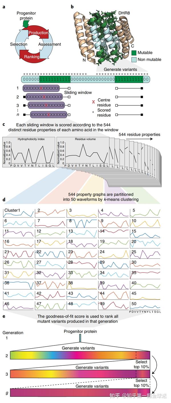 Nat. Chem. Biol. | 在计算机中模拟蛋白质的定向进化 - 知乎