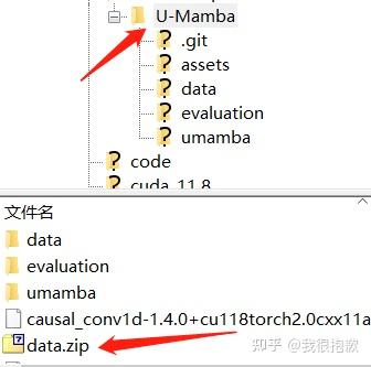 U-Mamba复现 - 知乎