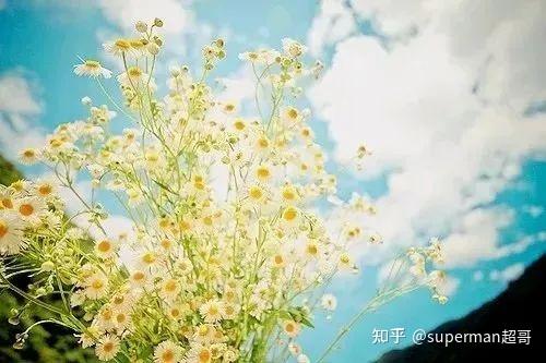 openGauss学习笔记-130 openGauss 数据库管理-参数设置-重设参数 - 知乎